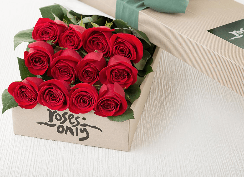 How to Choose the Right Roses for Valentine’s Day – Roses Only